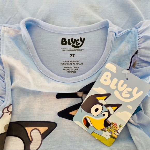 Bluey | Pajamas | Bluey Nightgown Pajamas | Poshmark